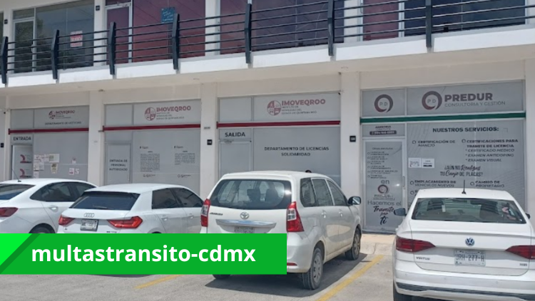 ¿Donde sacar licencia de conducir en Playa del Carmen?